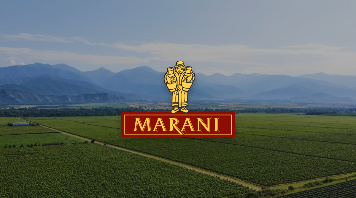 Marani Wines | Buy Marani wines at Georgian Wine Shop