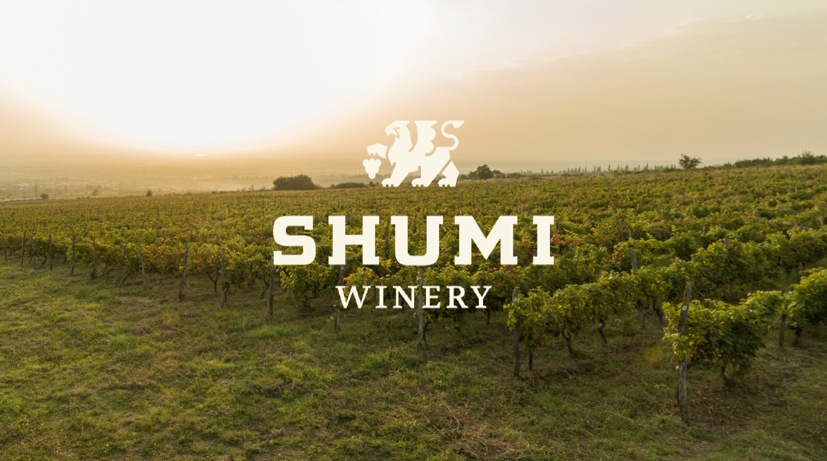 Shumi Wines Collection | Buy Shumi wines at Georgian Wine Shop